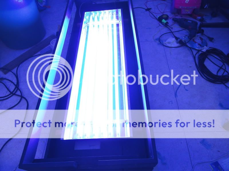 Brasil Reef - Fórum de Aquário - Aquarismo - Marinho, Corais e Água Doce • Exibir tópico - Vendo ...